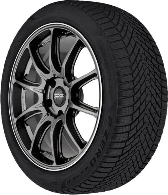 Pirelli P Zero Winter D | Pneu hiver haute performance